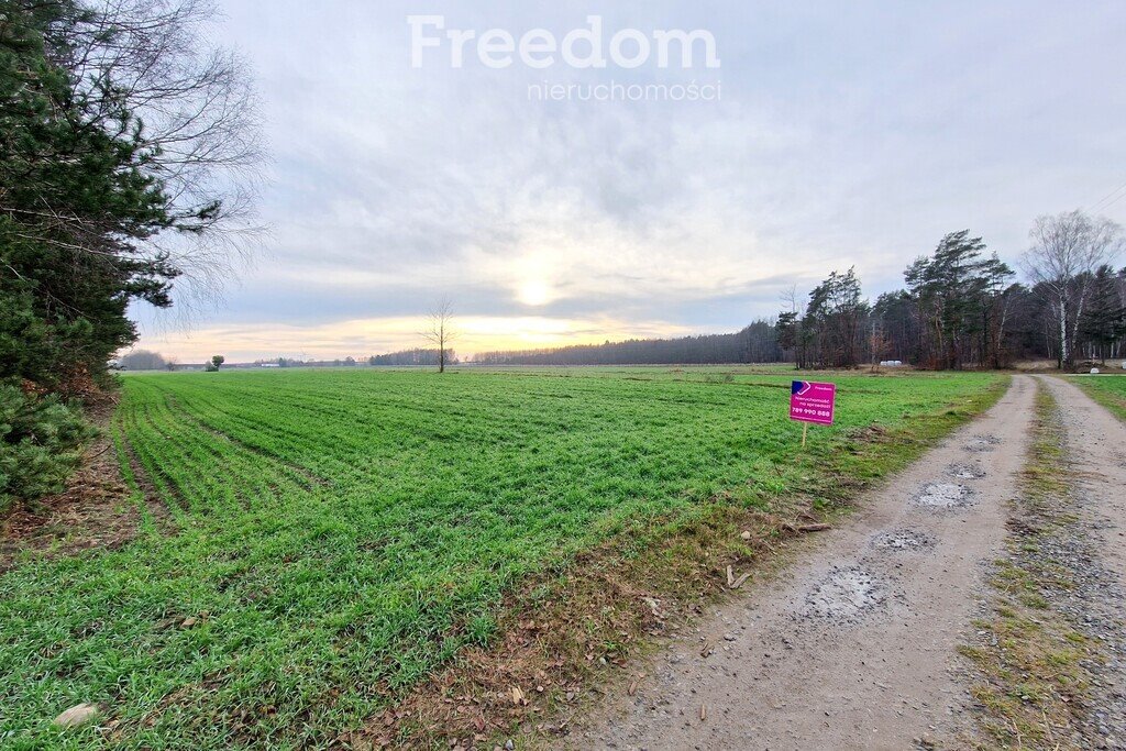 Sprzedam działkę : Mejznerzyn , 10600 m2, 55000 PLN - Domiporta.pl