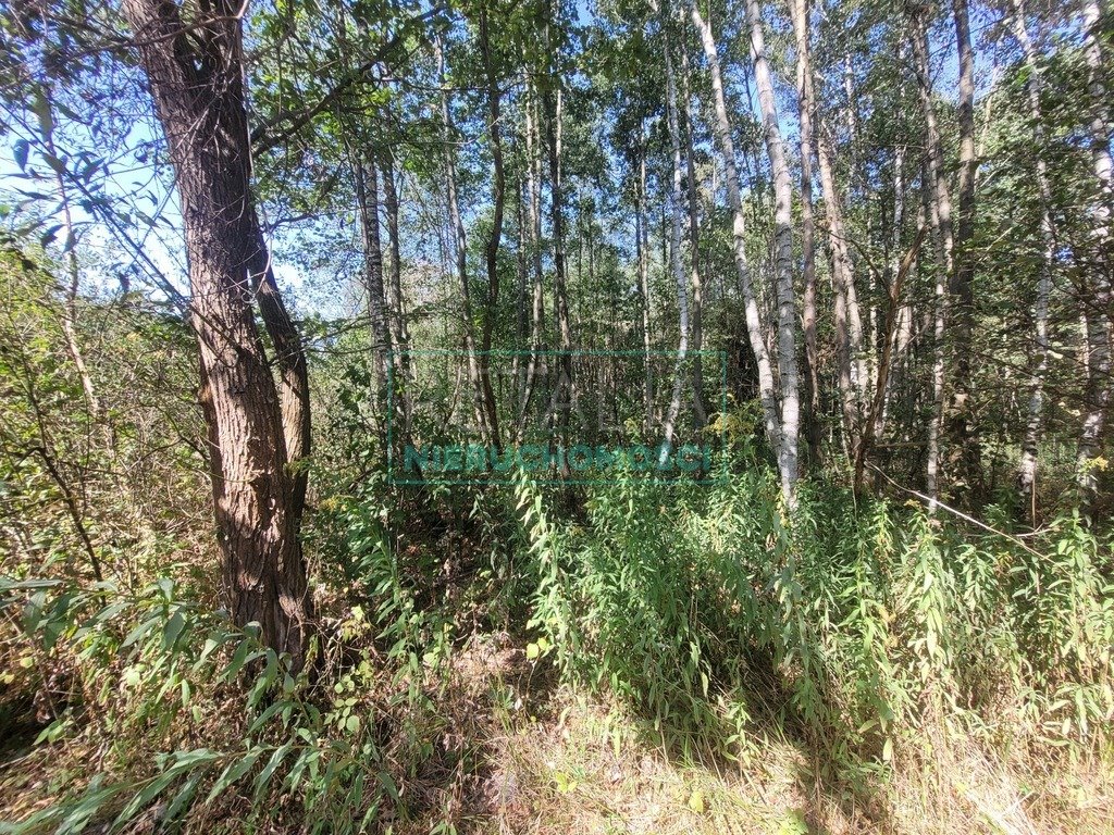 Sprzedam działkę : Adamów-Wieś , 4465 m2, 750000 PLN - Domiporta.pl