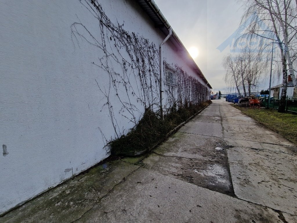 Wynajmę magazyn: Duchnice , 980 m2, 24000 PLN - Domiporta.pl