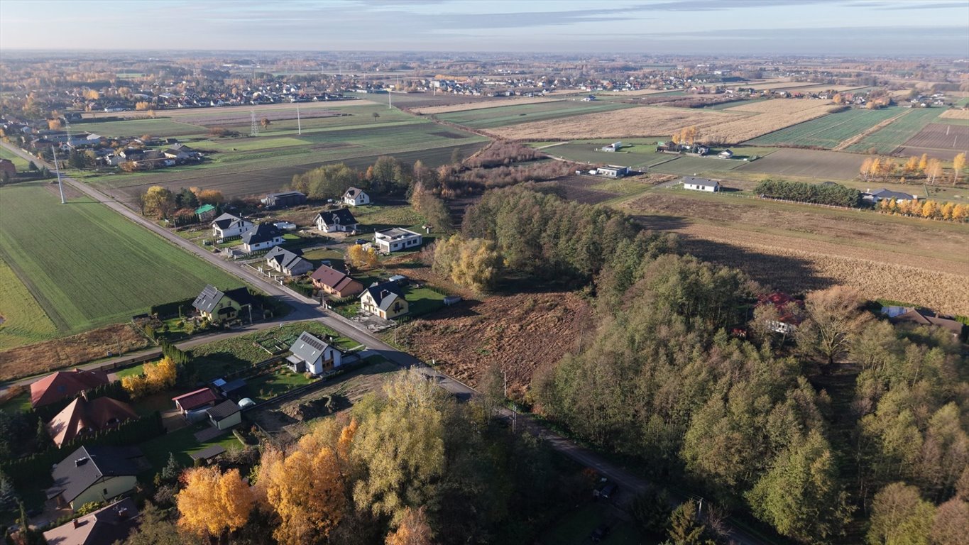 Sprzedam działkę : Rozlazłów , 1093 m2, 218000 PLN - Domiporta.pl