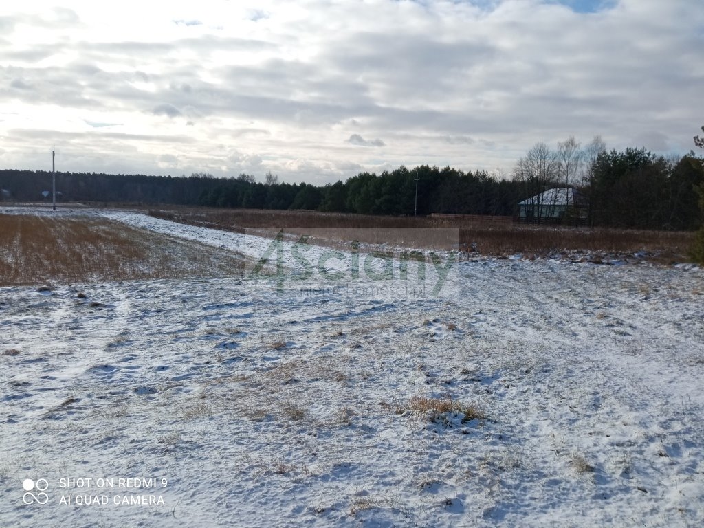 Sprzedam działkę : Nowiny , 12600 m2, 504000 PLN - Domiporta.pl